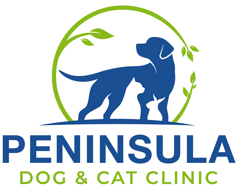 Accessibility Statement | Peninsula Pet Clinic